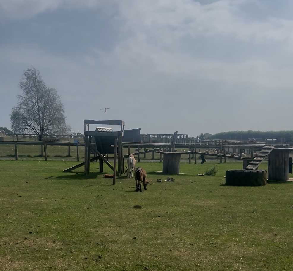 A Family Day Out at Greendale Farm Shop, Exeter | The Parenting Daily